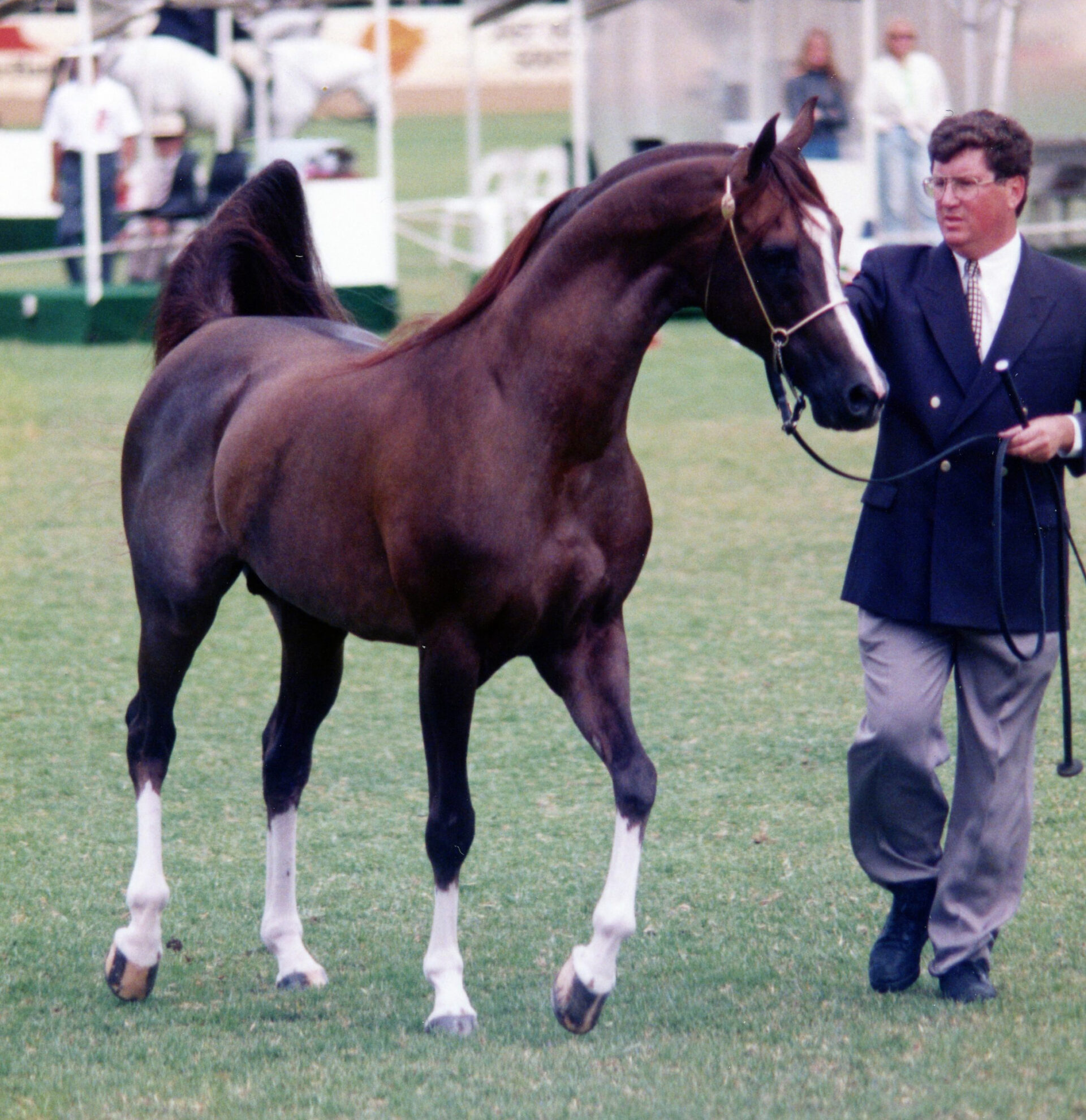 The Enduring Fame & Fortune of Fame Maker R - The Arabian Magazine