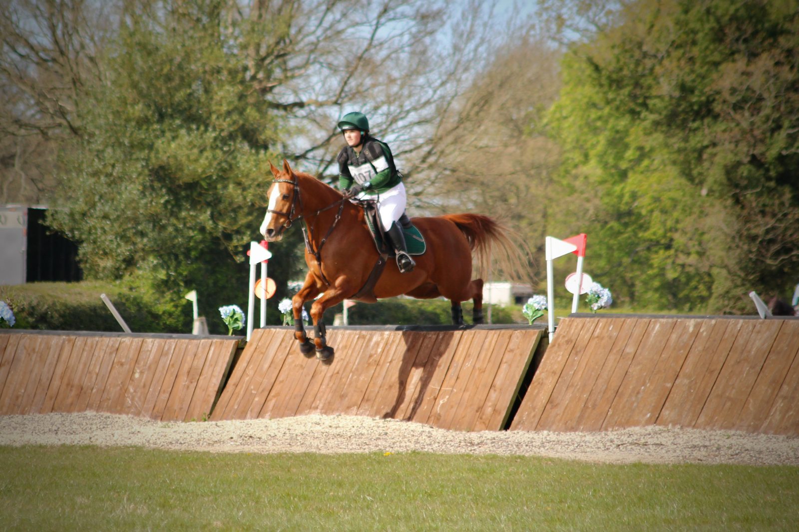 The Girl with the Jumping Arabs – The Fine Line - The Arabian Magazine