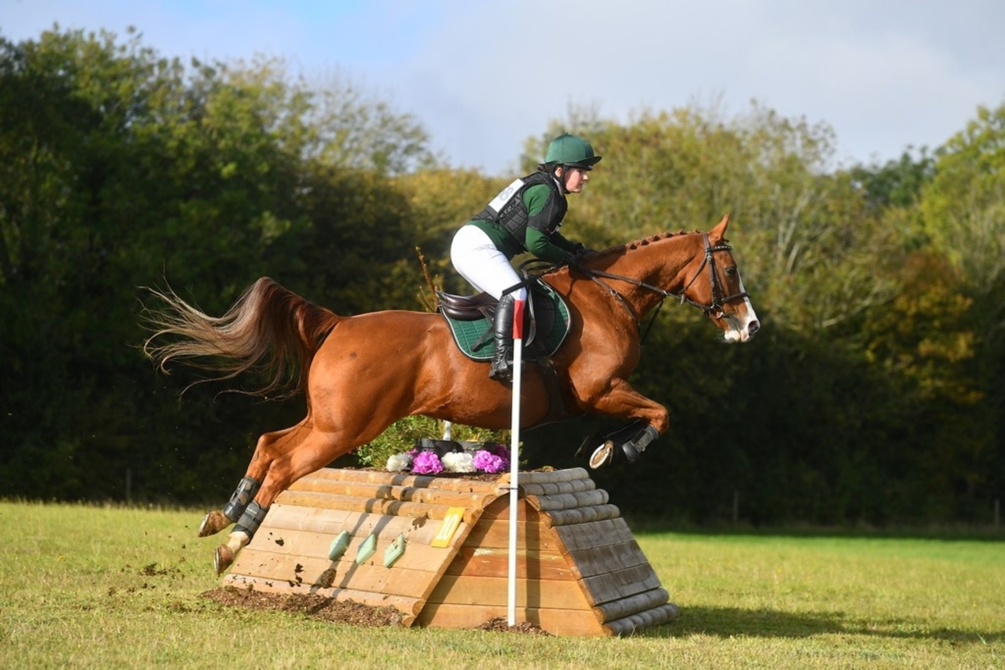 The Girl with the Jumping Arabs – A Competitor - The Arabian Magazine