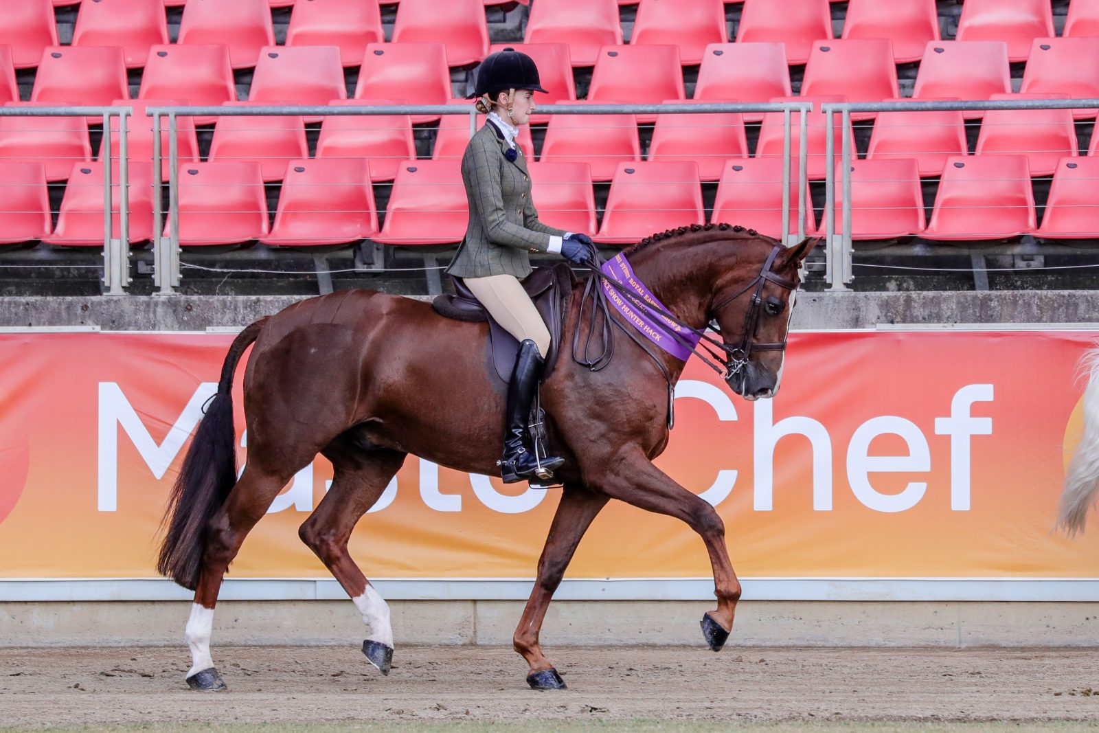 Arabian Derivatives at the 2021 Sydney Royal - The Arabian Magazine