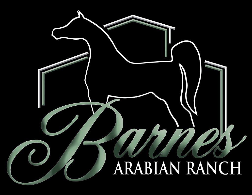 Barnes Arabian Ranch - The Arabian Magazine