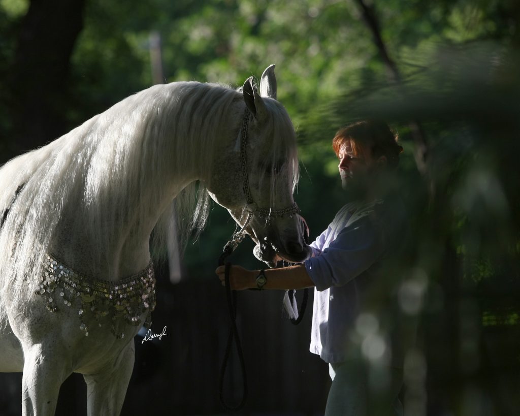 The Arabian Breeders' Magazine: The Breeders Interview - Kehilan ...