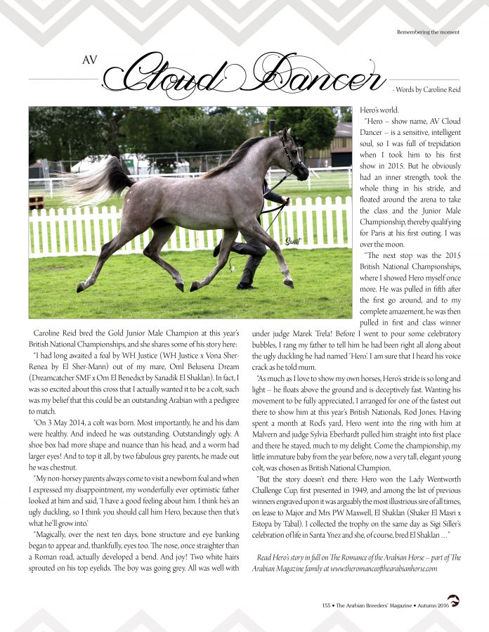 The Arabian Breeders' Magazine: Celebrating the Champions - AV Cloud ...