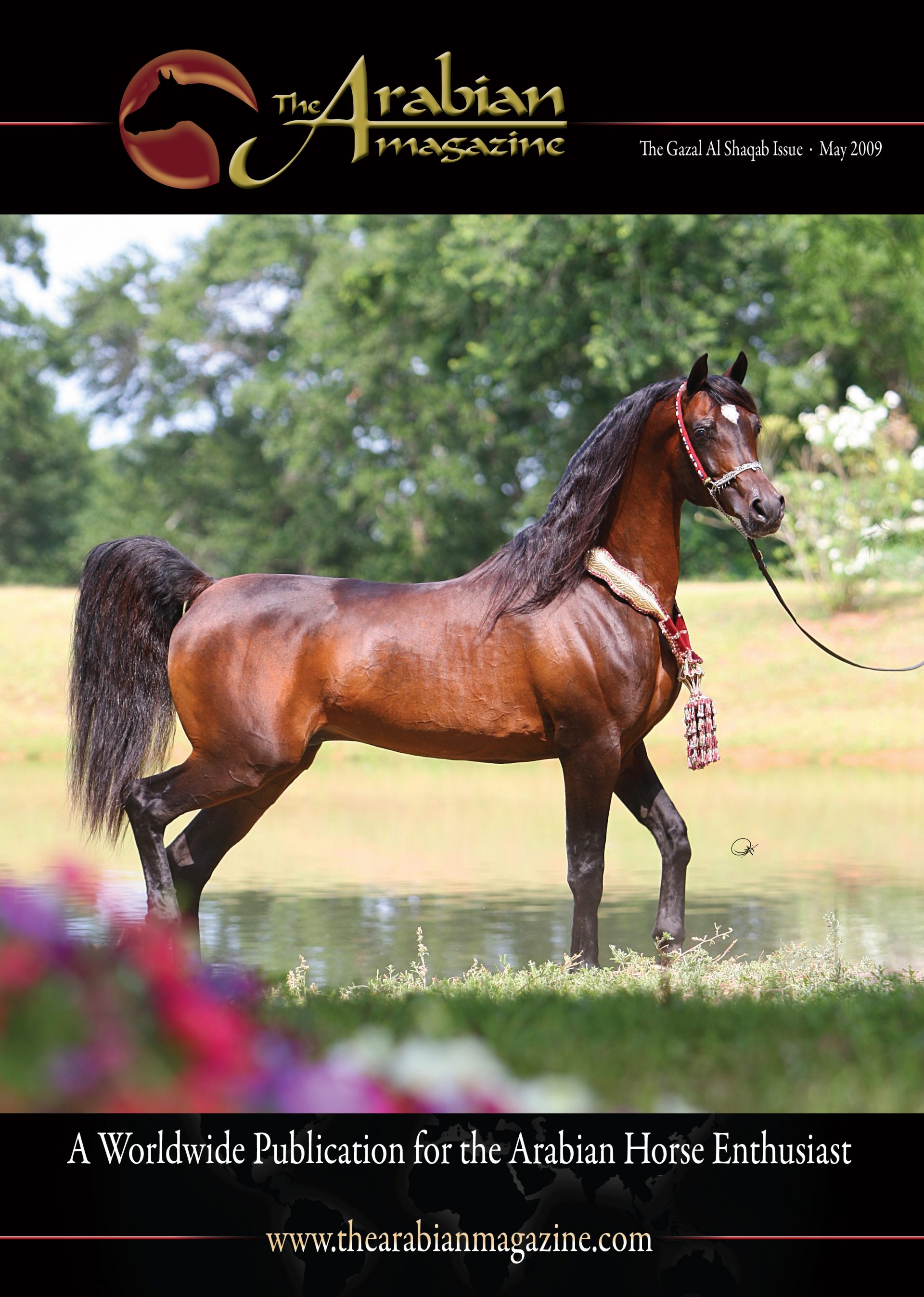 On the Cover: Gazal al Shaqab - The Arabian Magazine