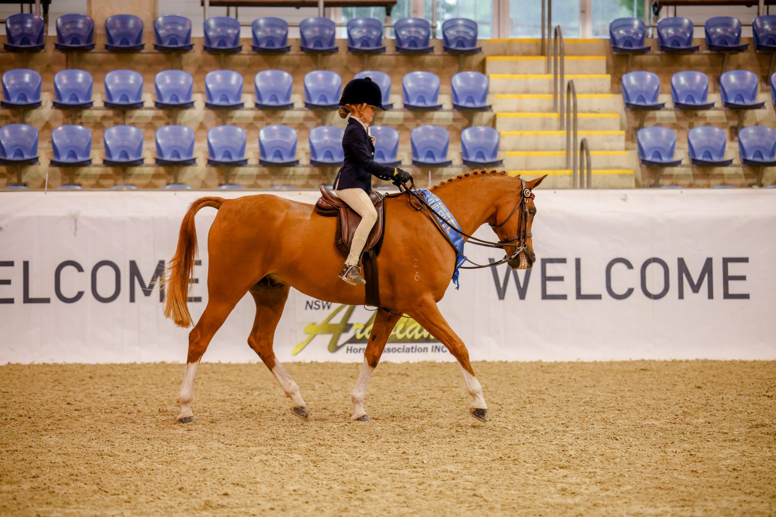 East Coast Championships Part II - The Arabian Magazine