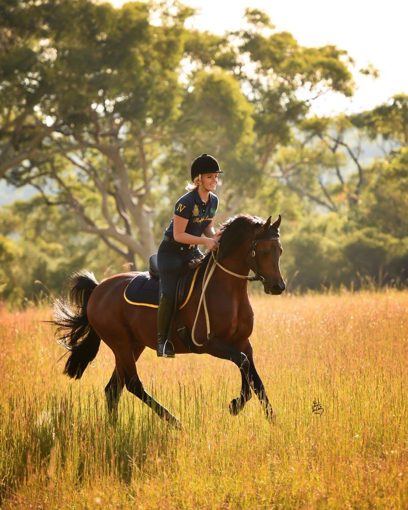 The Arabian Breeders' Magazine: The Breeders Interview - Greg, Julie ...