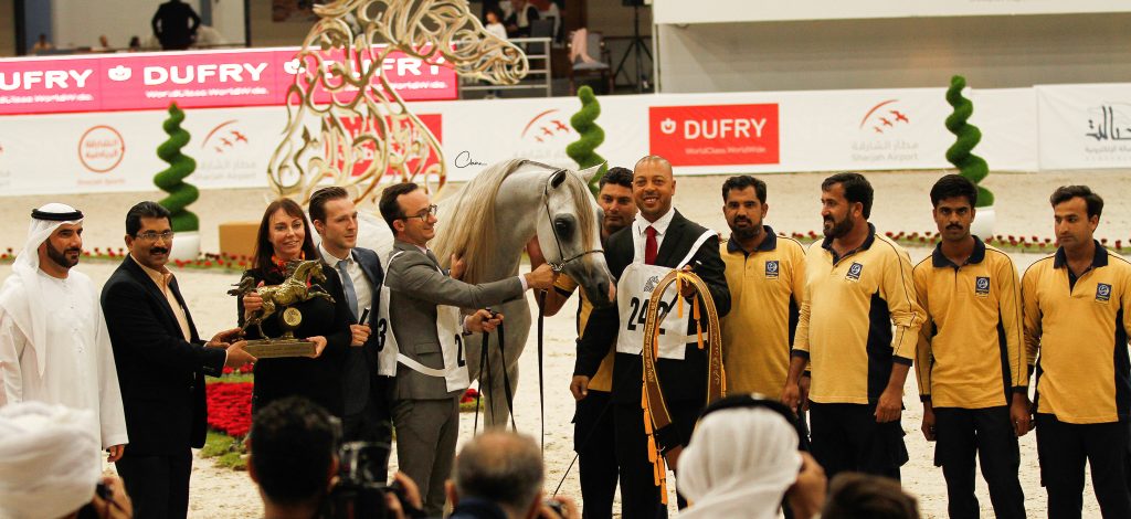 The Horses of Albidayer Stud - The Arabian Magazine