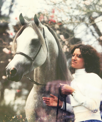 The Arabian Breeders' Magazine: The Breeders Interview – Janina Merz ...