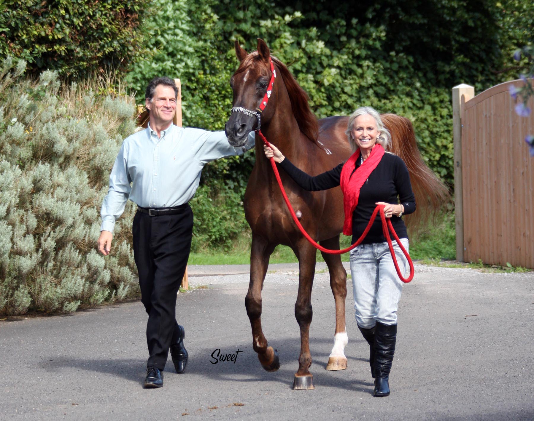 The Arabian Breeders' Magazine: The Breeders Interview - Georgian ...