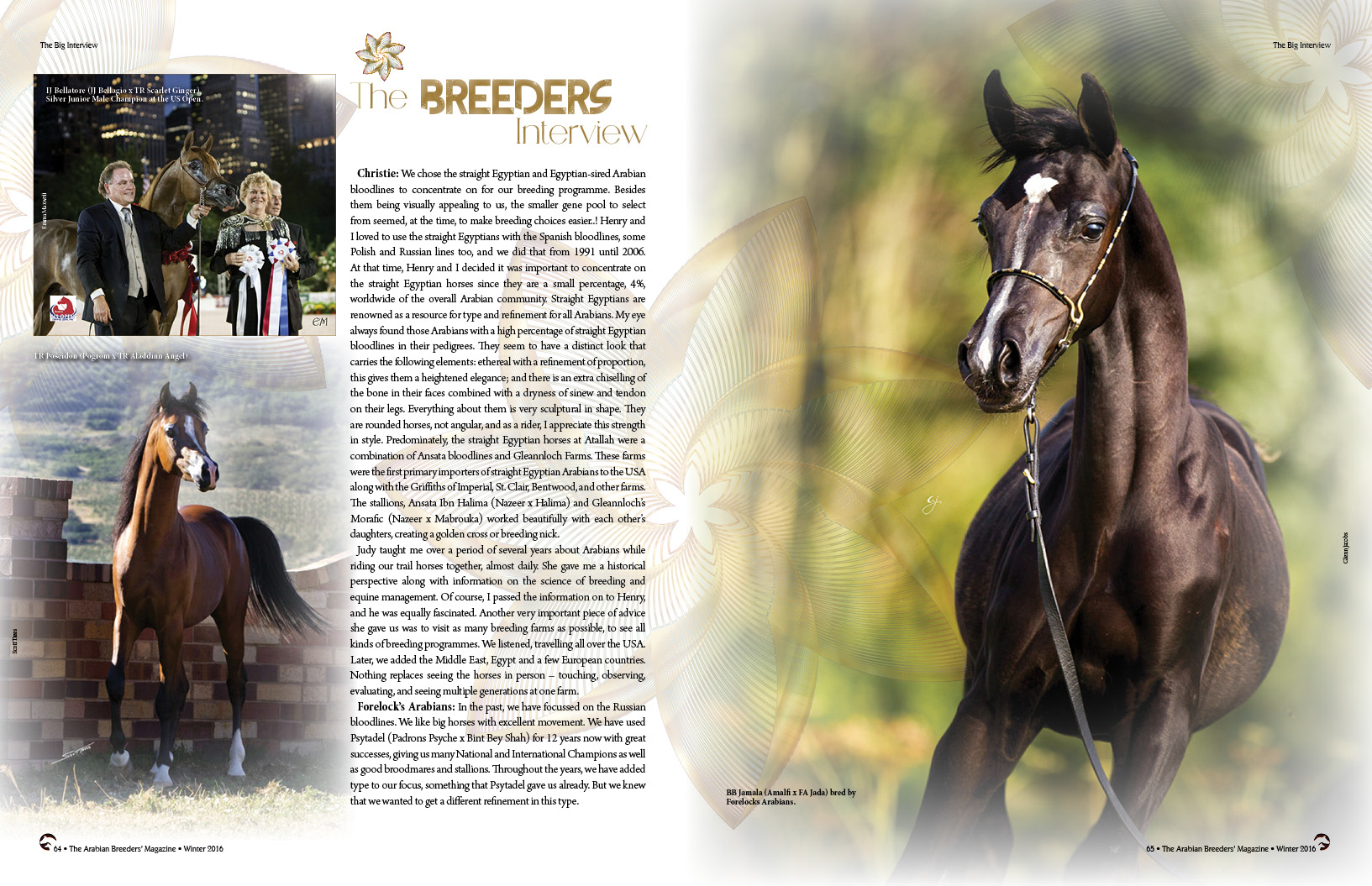 The Arabian Breeders' Magazine: The Breeders Interview - Forelock’s ...