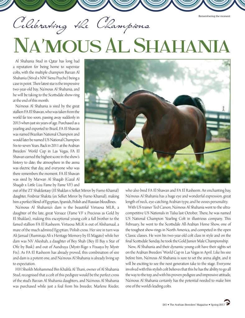 The Arabian Breeders' Magazine: Celebrating the Champions – Na’mous Al ...