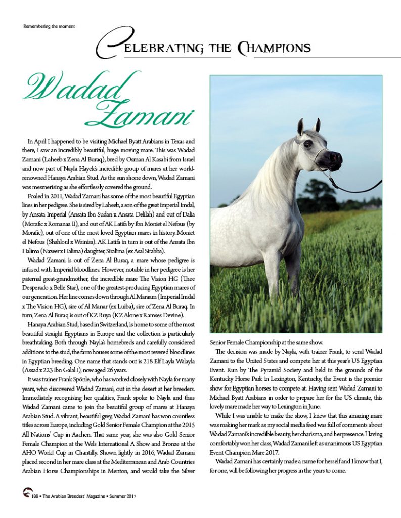 The Arabian Breeders' Magazine: Celebrating the Champions - Wadad ...