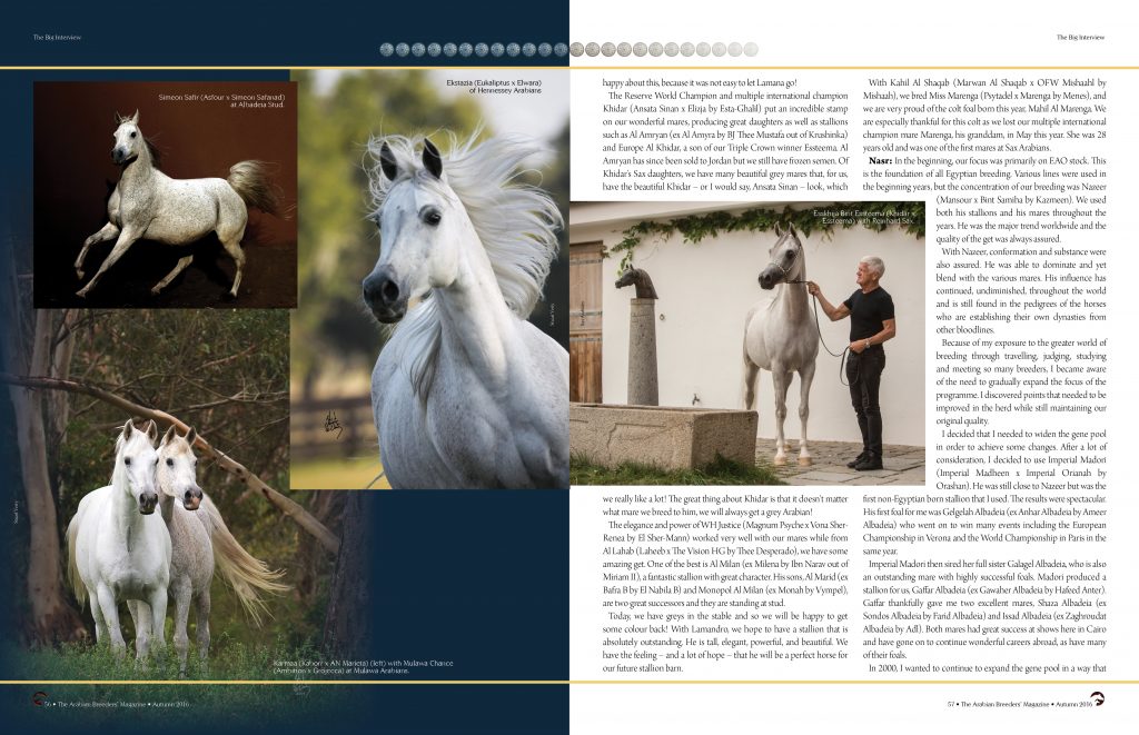The Breeders Interview – Dr Nasr Marei, Albadeia Stud - The Arabian ...
