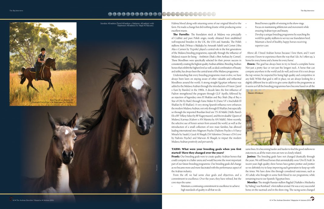 The Arabian Breeders' Magazine: The Breeders Interview – Dawn Martin ...