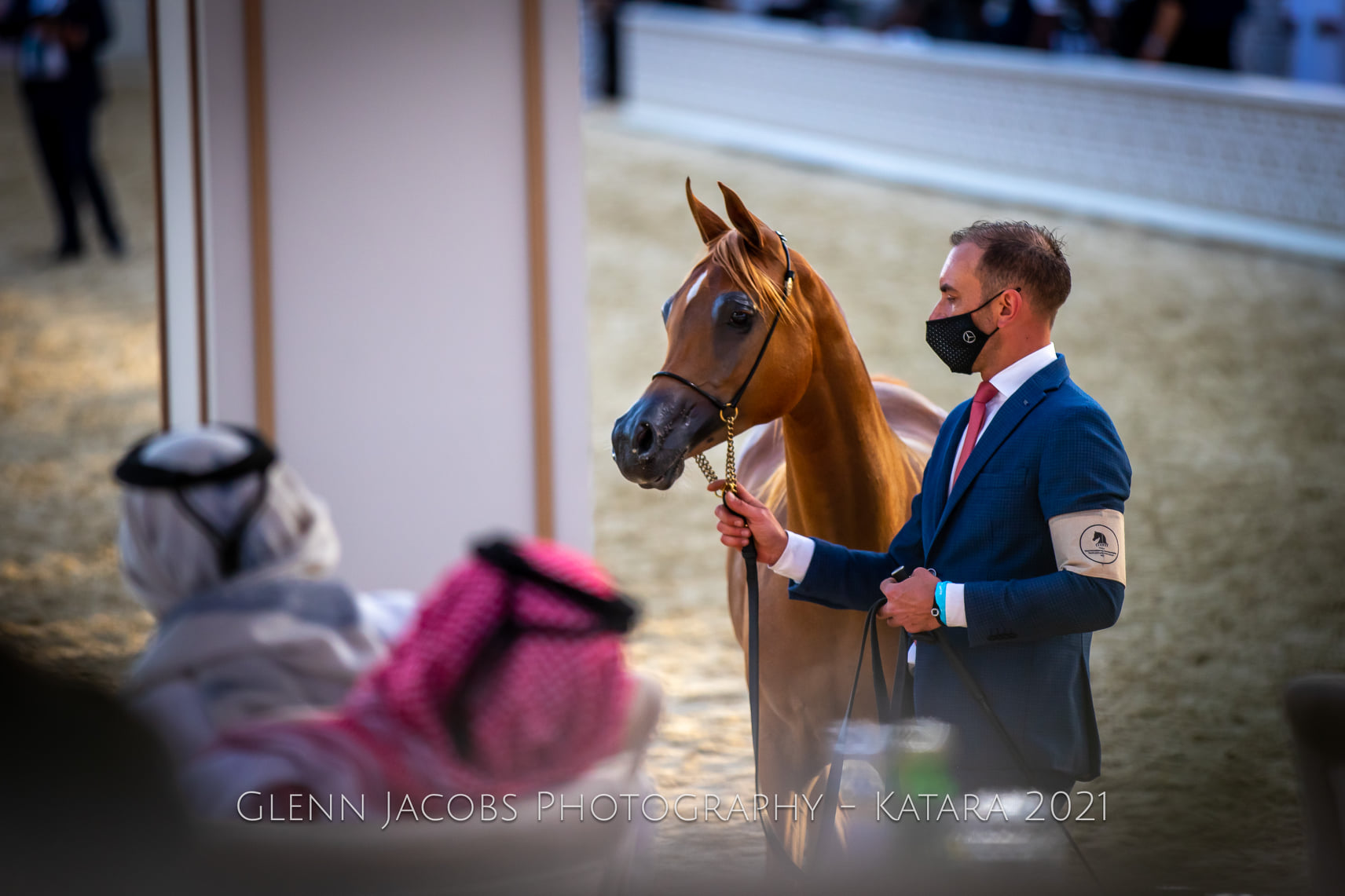 Katara International Arabian Horse Festival - The Arabian Magazine