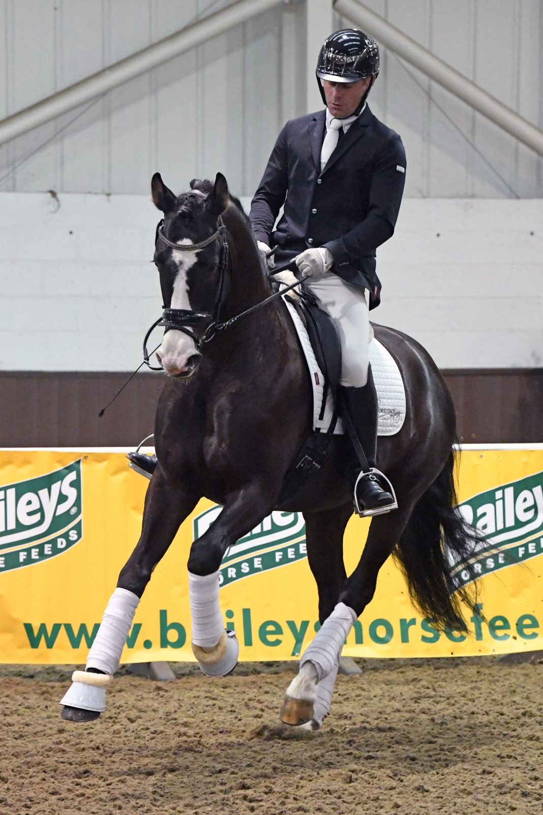 British Breeding Stallion Event – 16 March 2019 - The Arabian Magazine