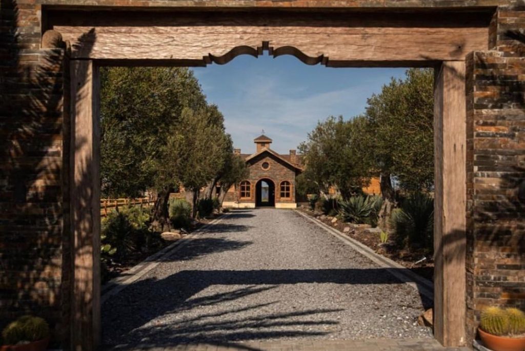 Alkaisar Arabian Stud - The Arabian Magazine